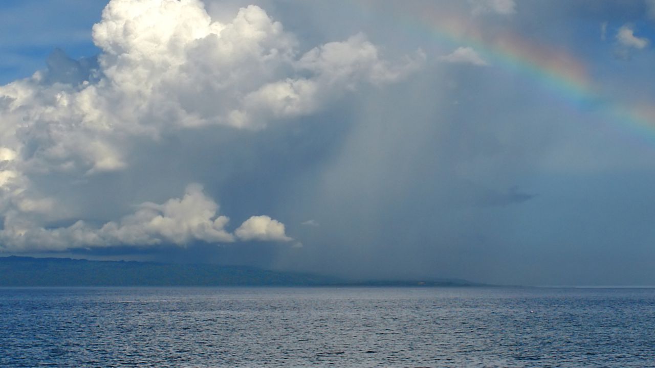 WISKI: 集思特思(水资源管理，能源智慧管理)